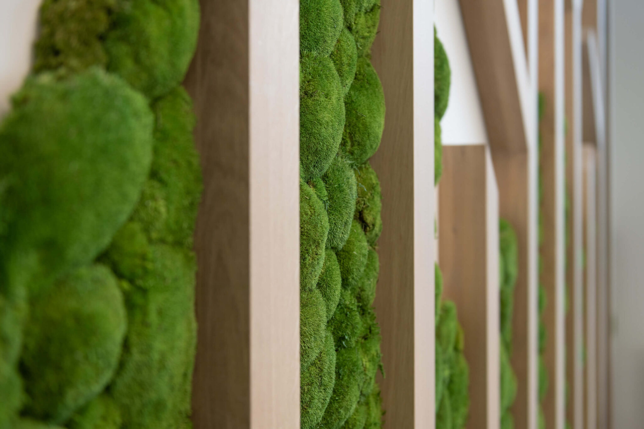 Natürlich gestaltete Moosbilder und Mooswände – Creaplant | Moosbilder ...