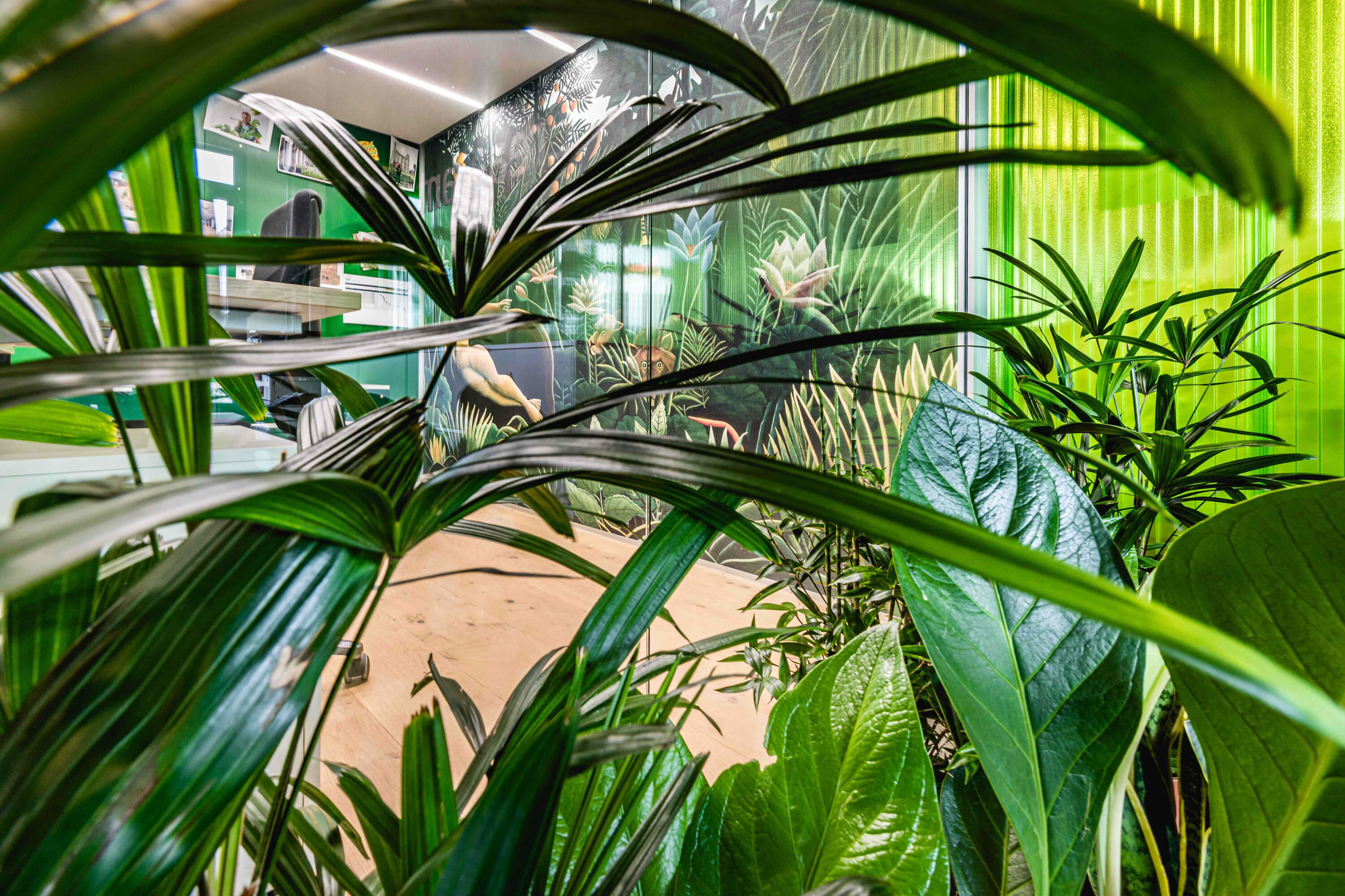 Biophilie – Creaplant | Biophilie