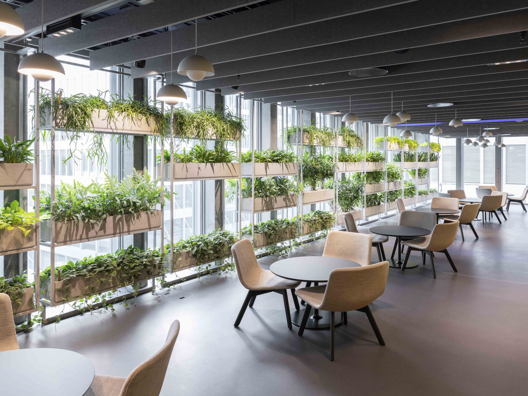 Biophilic Workplace Concept | Biophilic Workplaces – für gesunde ...